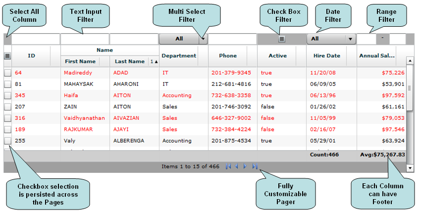 Custom Flex DataGrid/Advanced DataGrid Component. Support for Filter, Paging, Footer and a lot more!